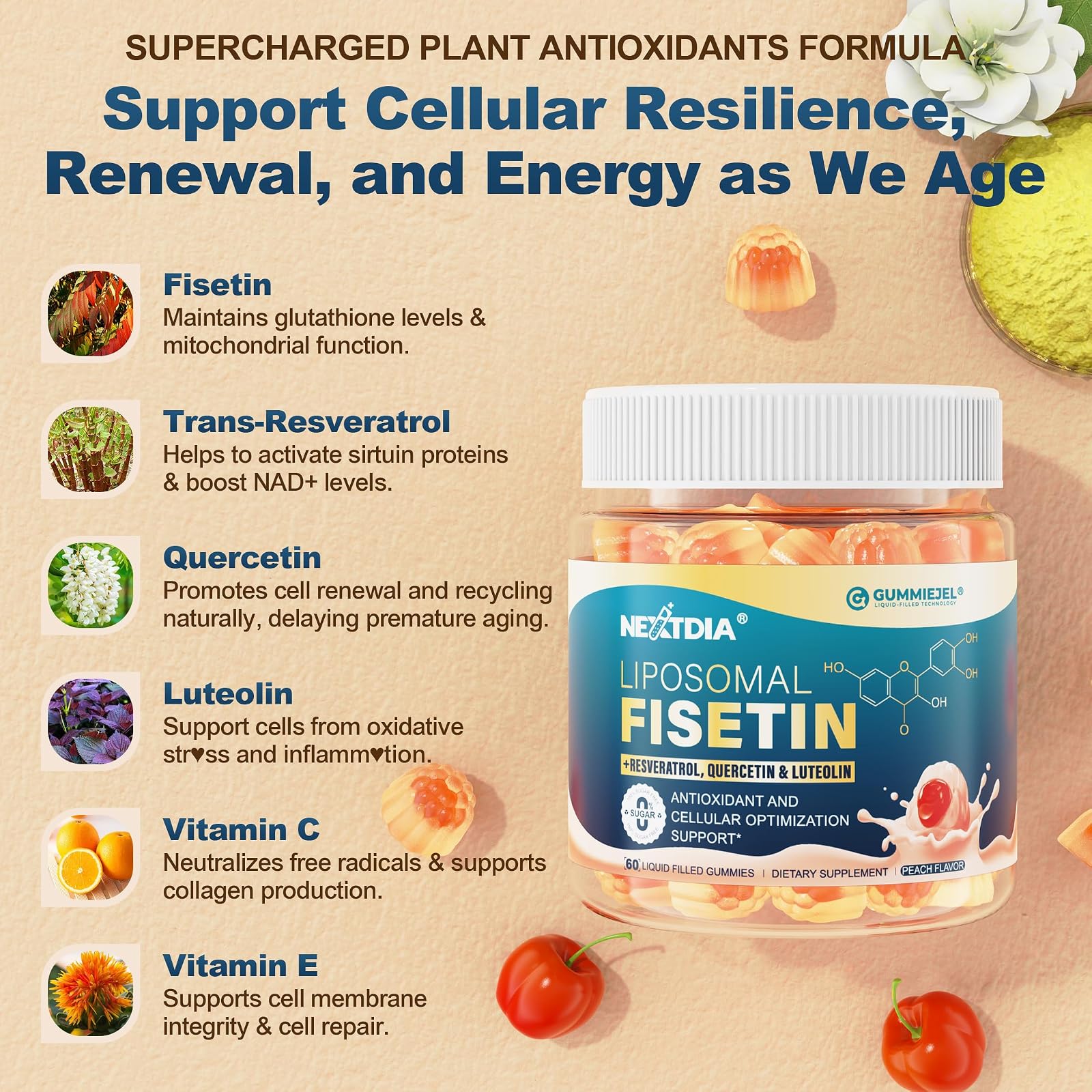 200 mg Fisetin and 500 mg Resveratrol