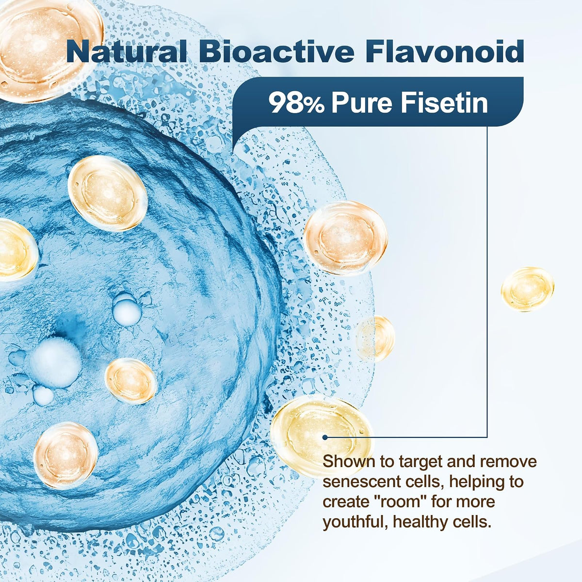 200 mg Fisetin for cellular support