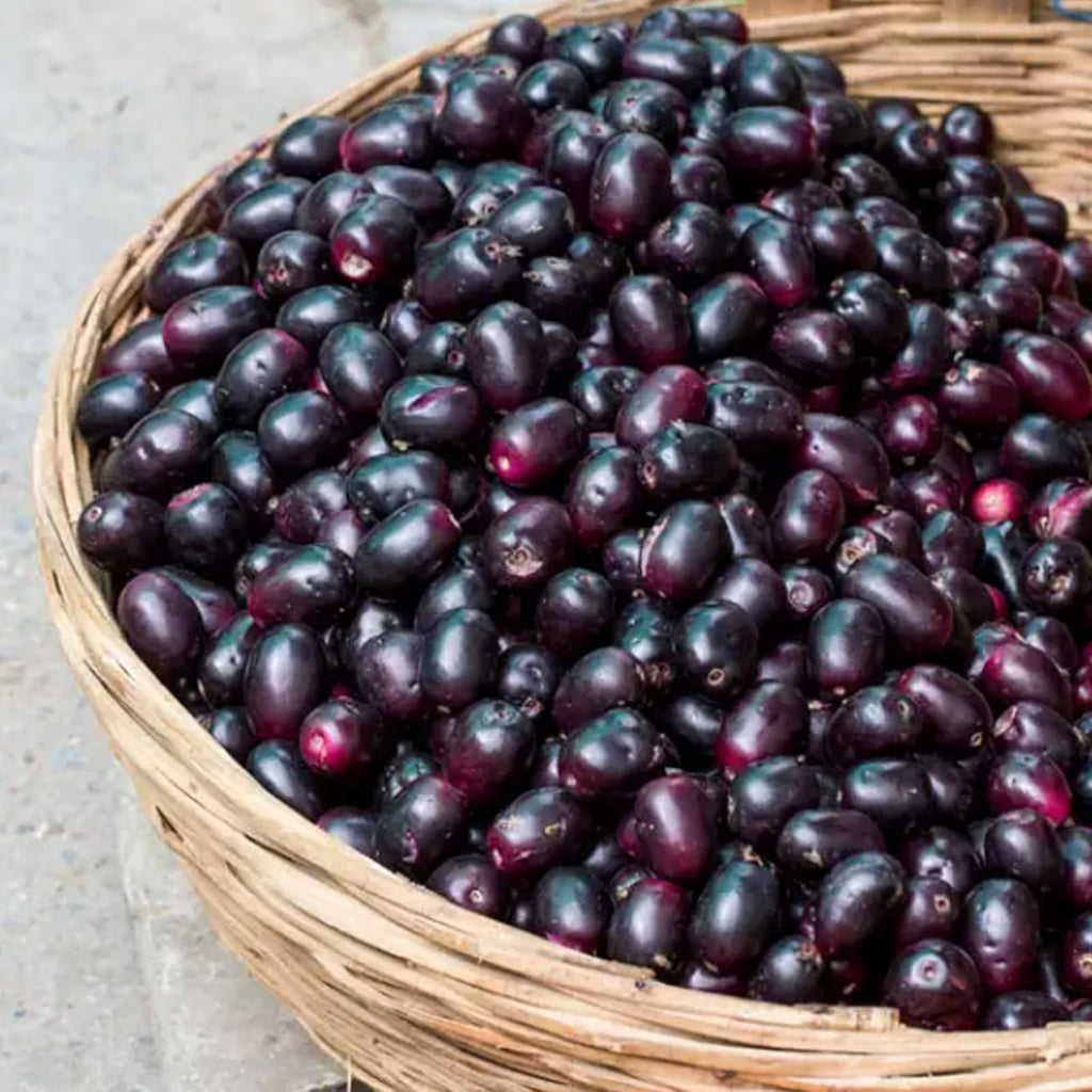 200 mg Jamun Seed multivitamins