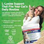 200 servings of l-lysine powder