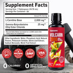 2000 mg acetyl l-carnitine dose
