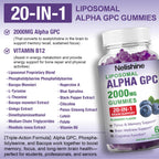 2000 mg Alpha GPC vitamin supplement
