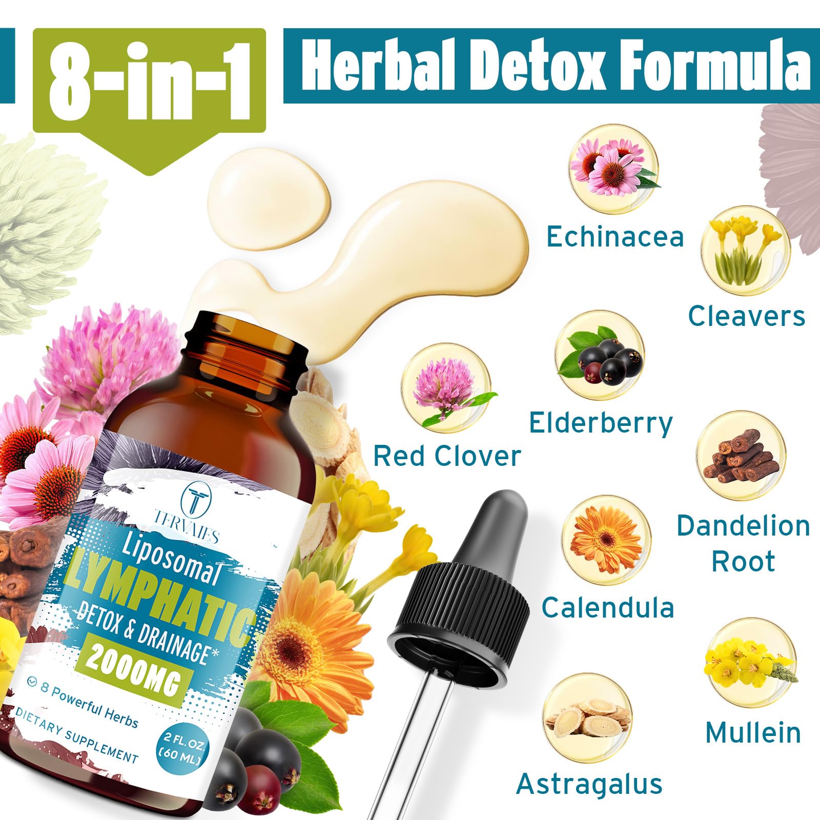 2000 mg echinacea herbal supplement