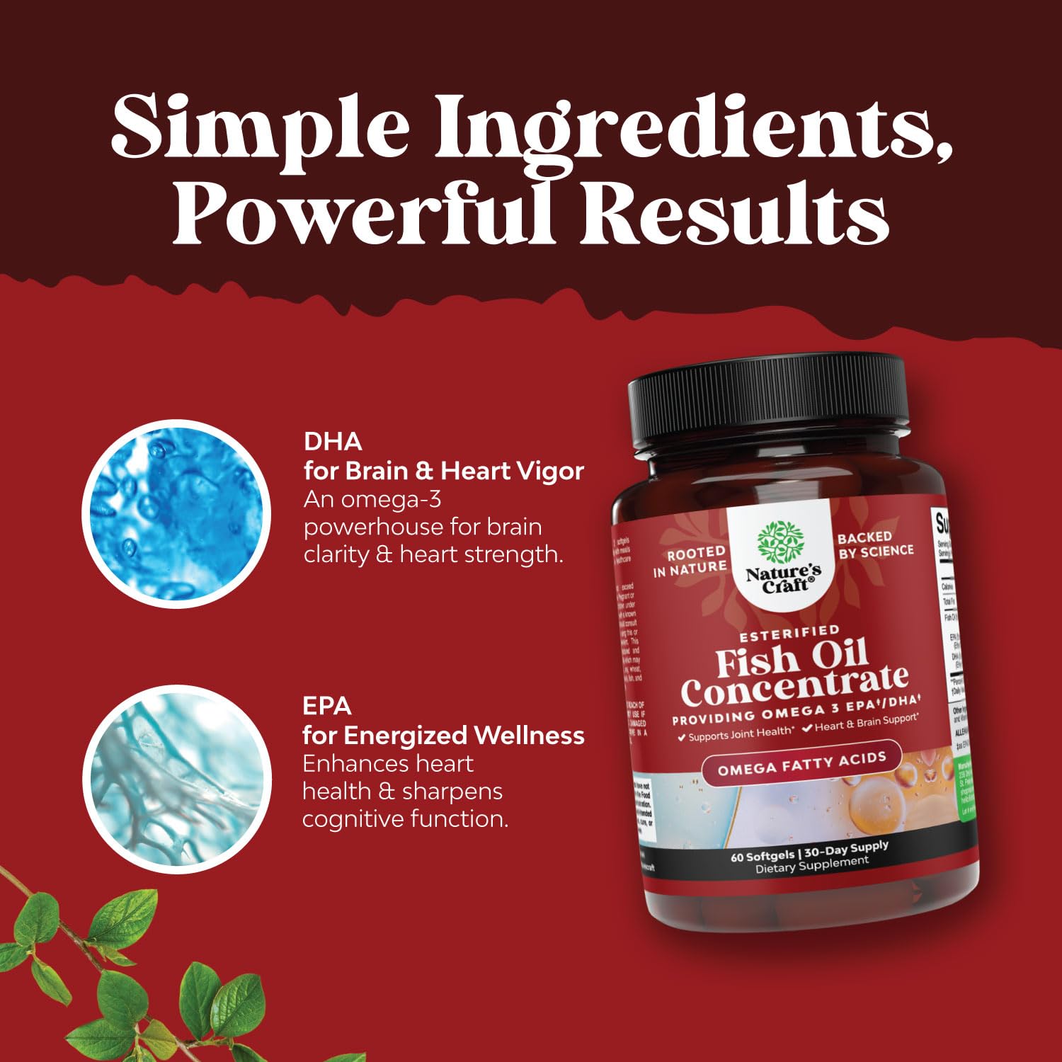 2000 mg fish oil for daily wellness