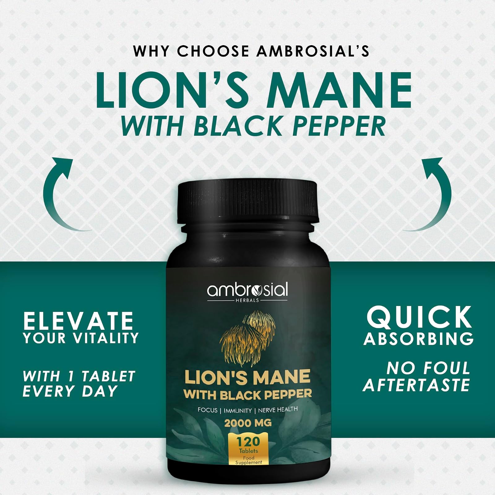 2000 mg Lion's Mane tablets for focus