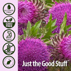 2000 mg milk thistle dosage
