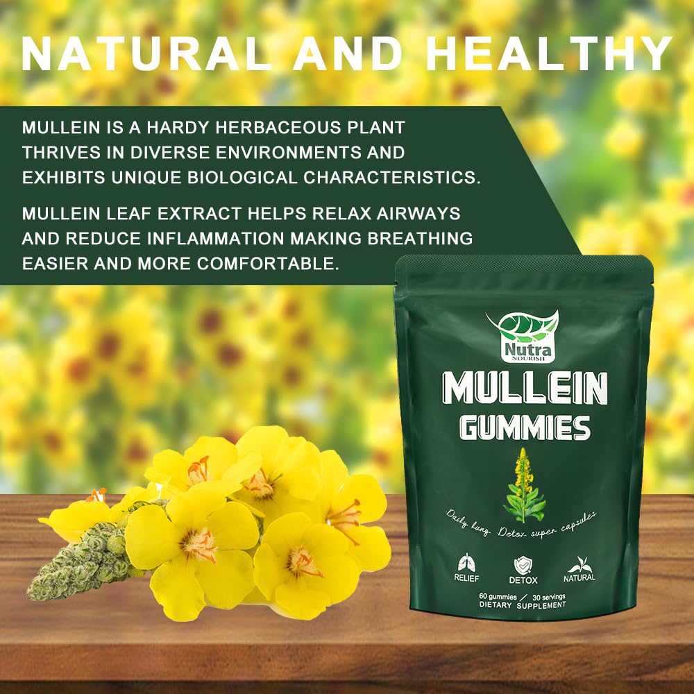 2000 mg Mullein leaf extract benefits
