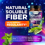 2000 mg psyllium husk dosage