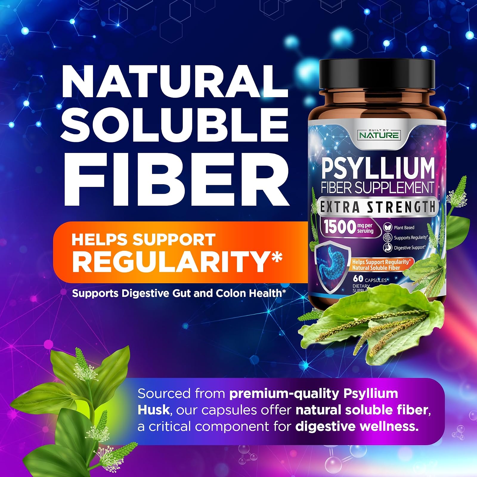 2000 mg psyllium husk dosage