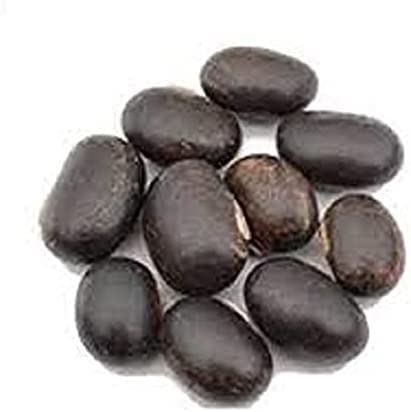 200g Black Kaunch nutritional support