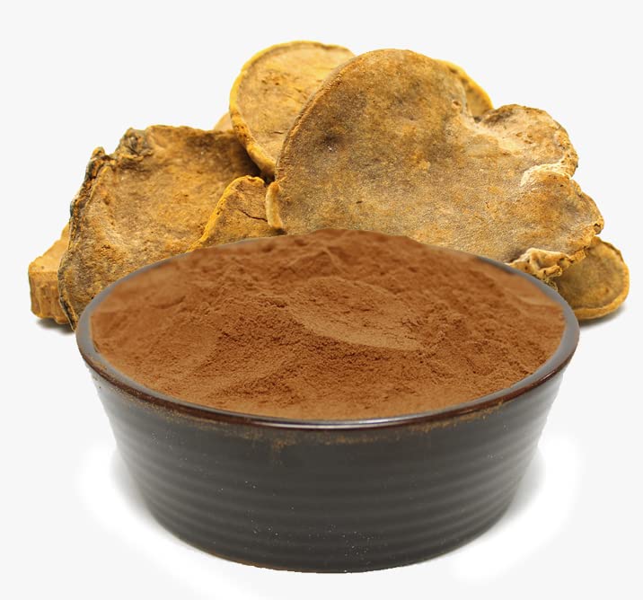 200g phellinus extract for holistic health