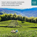 200g Xin Qing green tea package