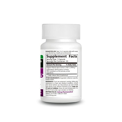 200mg Breviscapine brain support
