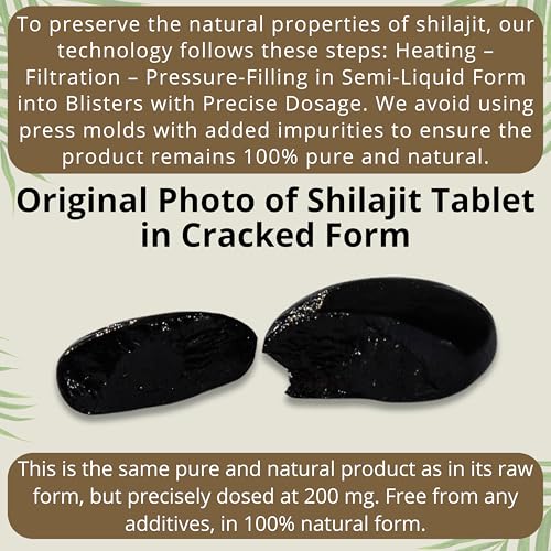 200mg shilajit for daily vitality