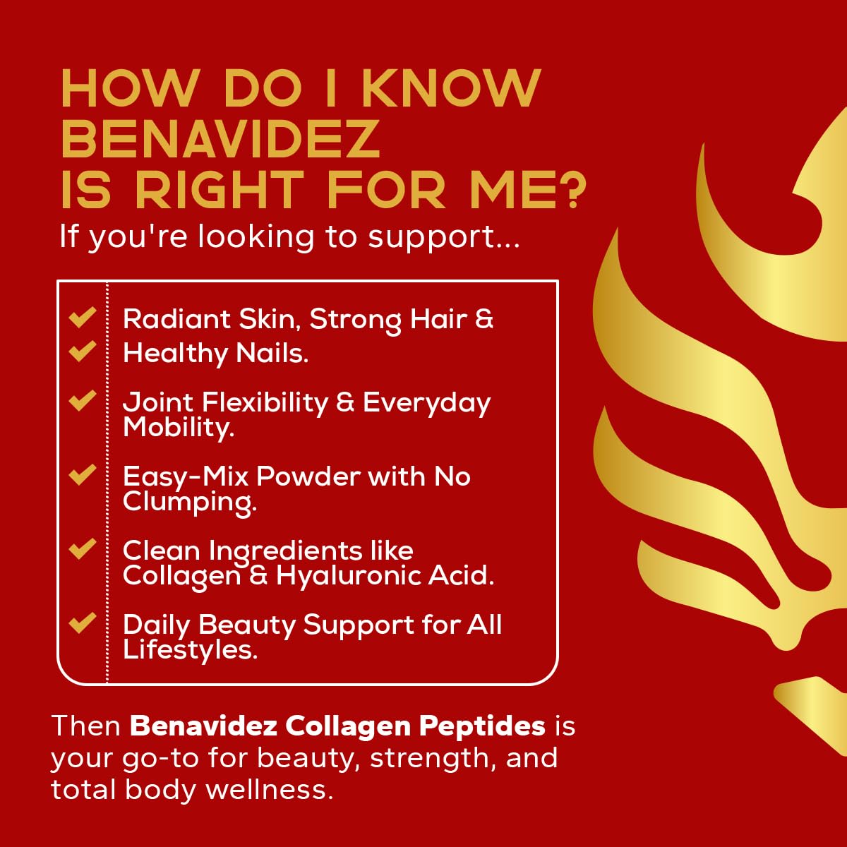 20g collagen peptides for daily nutrition