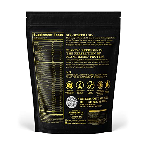 20g plant based protein per serving