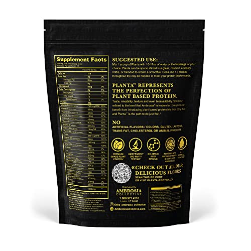 20g protein per serving Ambrosia powder