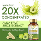 20X concentrated amla extract benefits