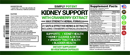 21 herbs for kidney repair