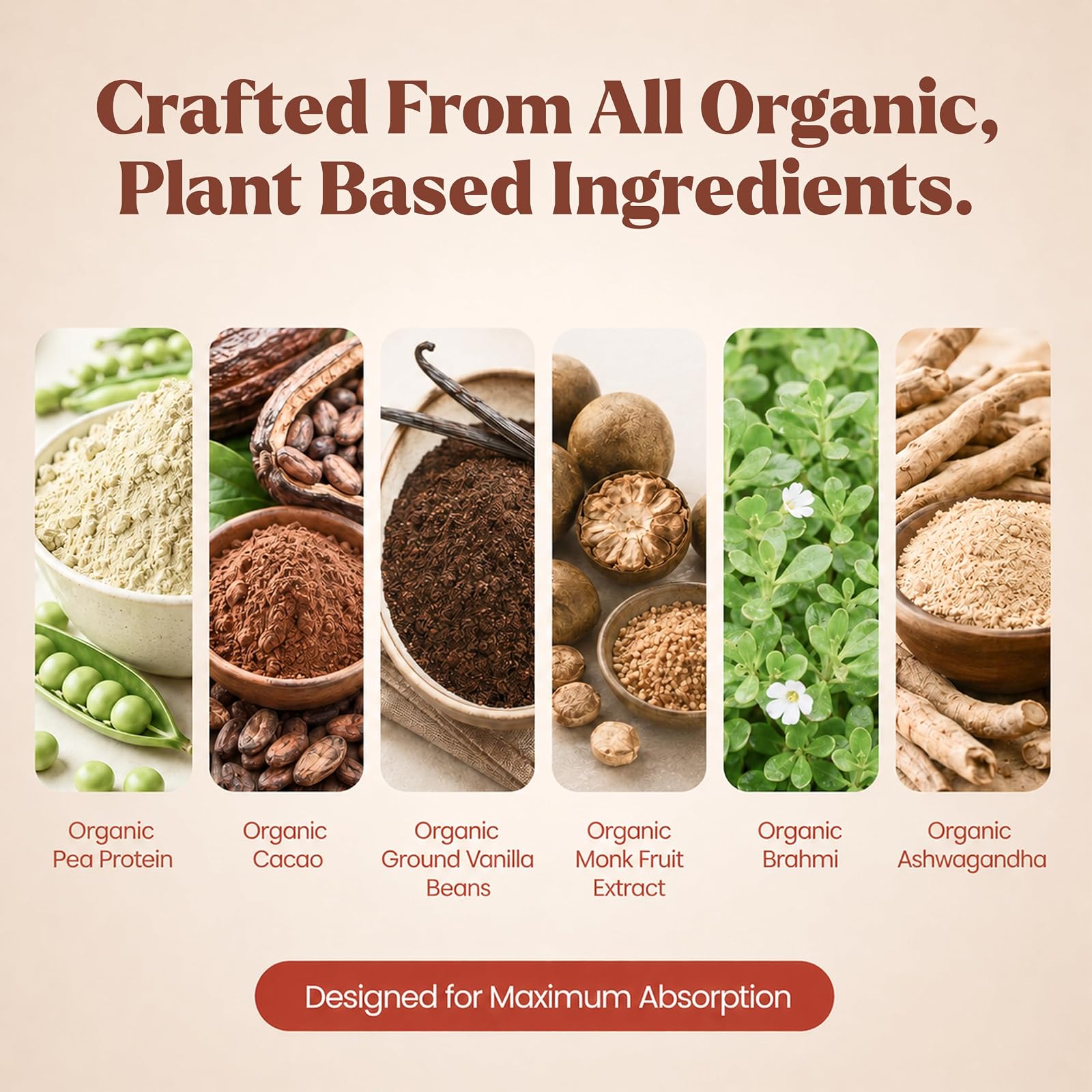 21 servings of nutritious plant protein