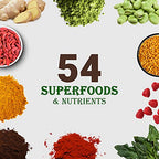 21g protein per serving chocolate powder