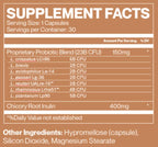23B CFU probiotic for women