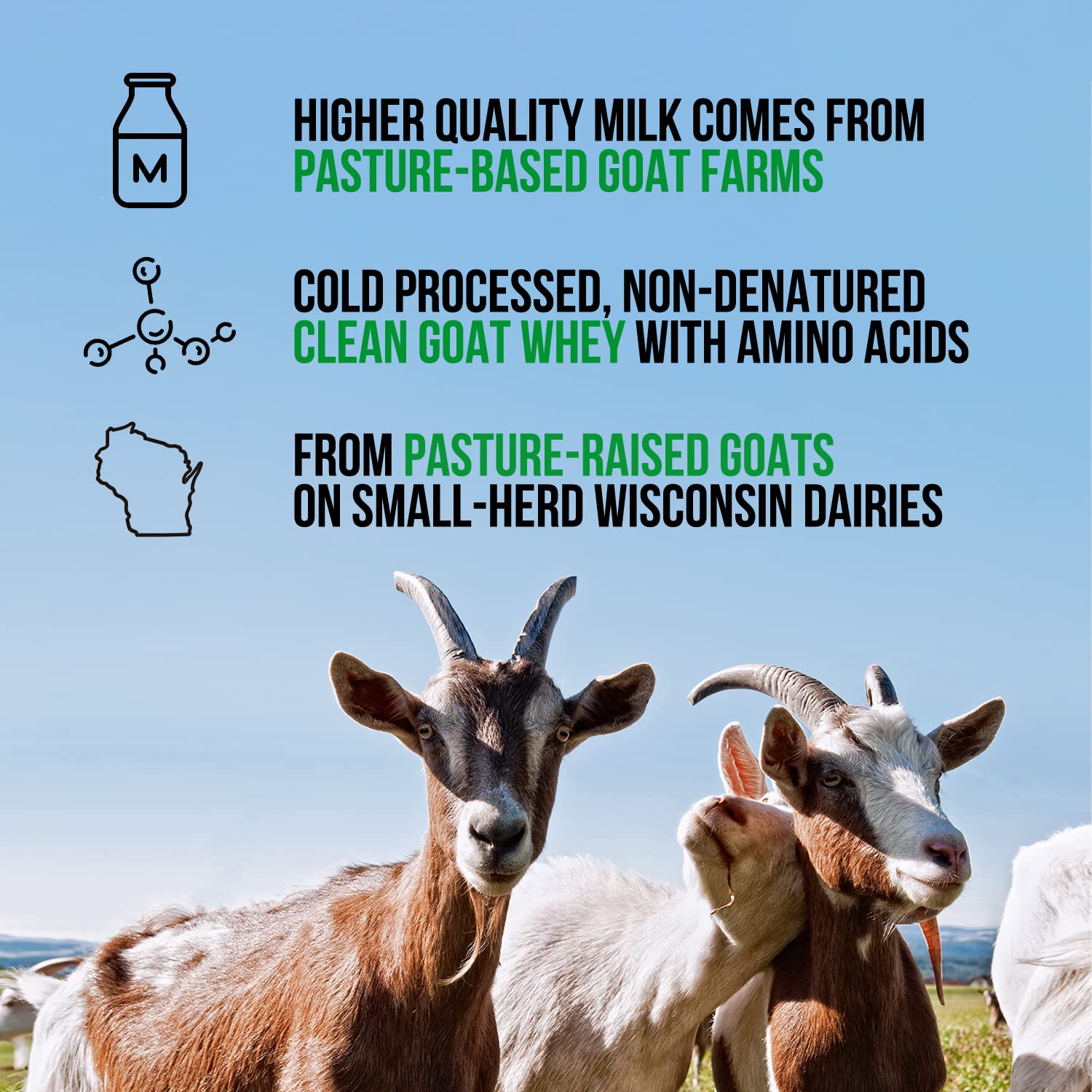 23g protein per serving whey