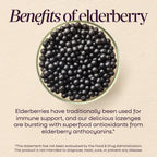 24 count elderberry immune support