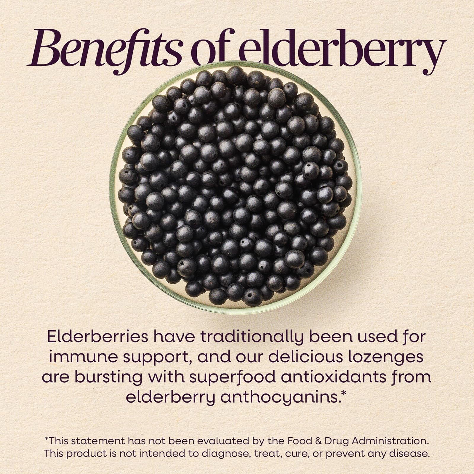 24 count elderberry immune support