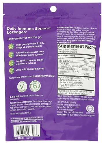 24 count elderberry lozenges for wellness