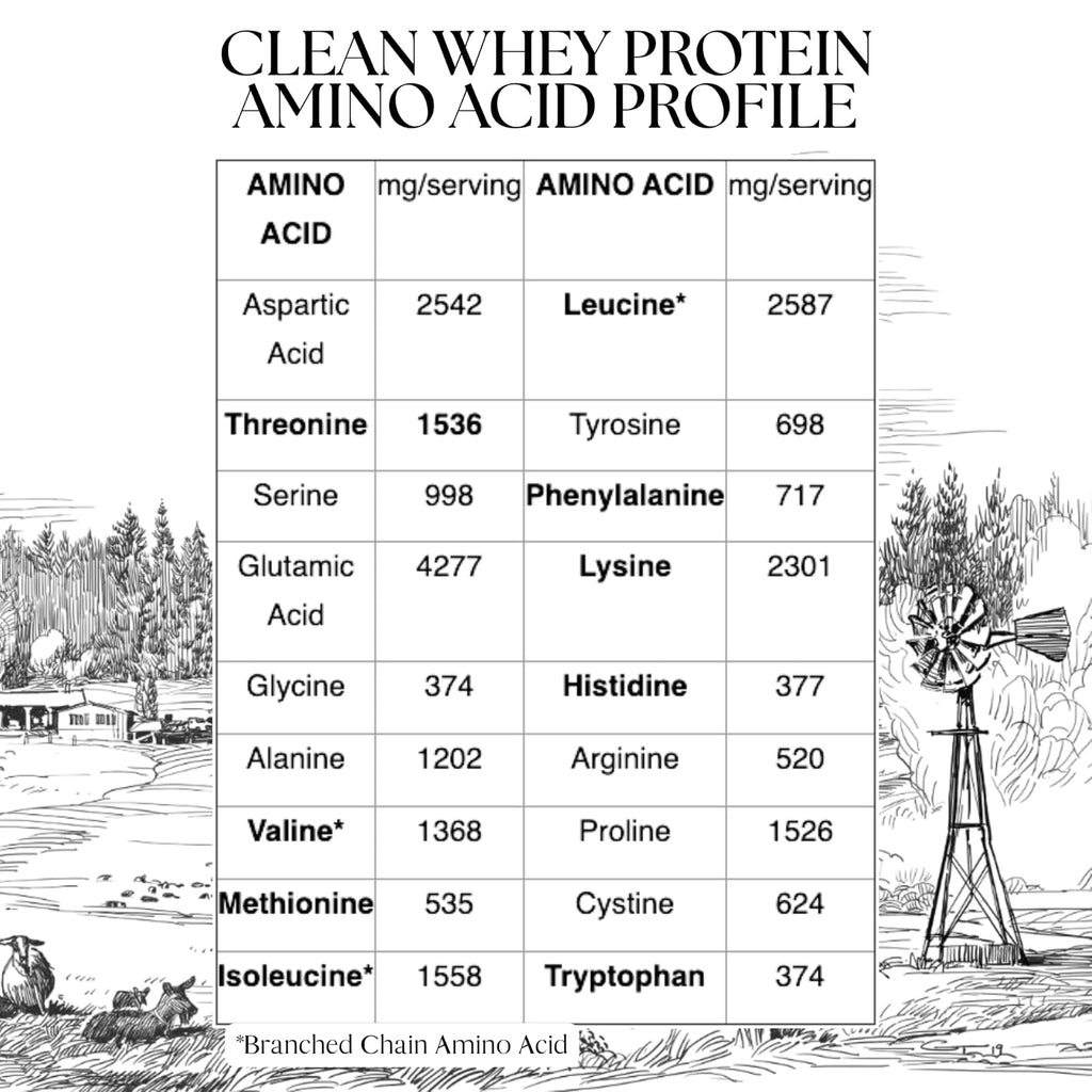 24 g protein per serving chocolate
