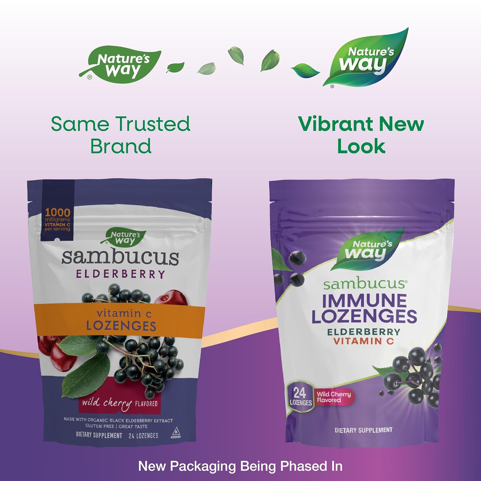 24 lozenges for daily wellness
