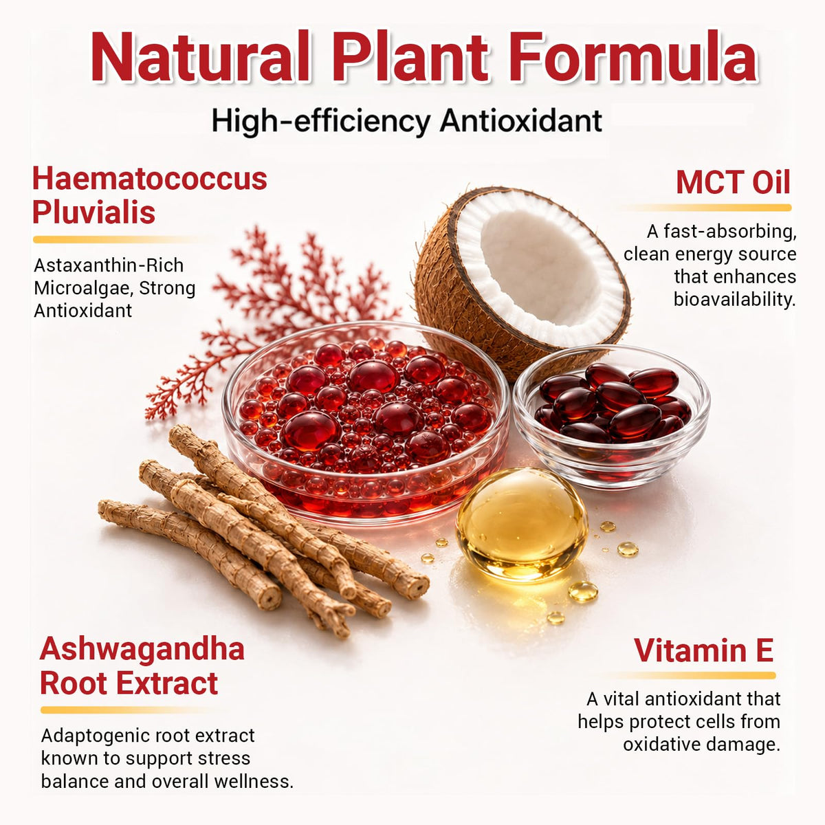 24 mg Astaxanthin antioxidant benefits