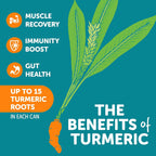 24 pack turmeric & curcumin beverages