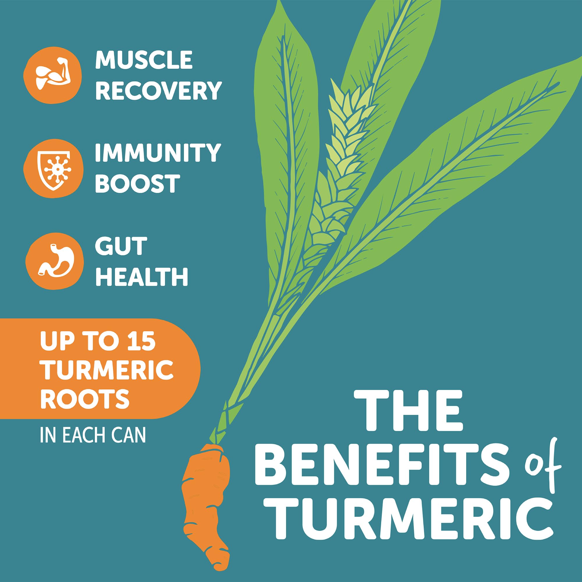 24 pack turmeric wellness drinks