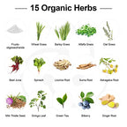 24 strains probiotics for overall wellness