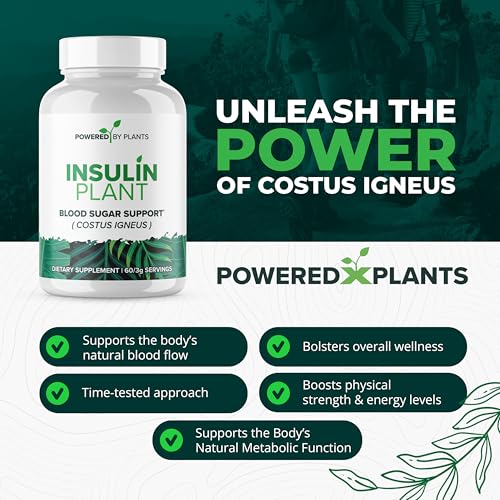 240 capsules for daily vitamin intake