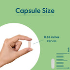 240 capsules for long-lasting supply