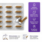 240 capsules for long-lasting supply