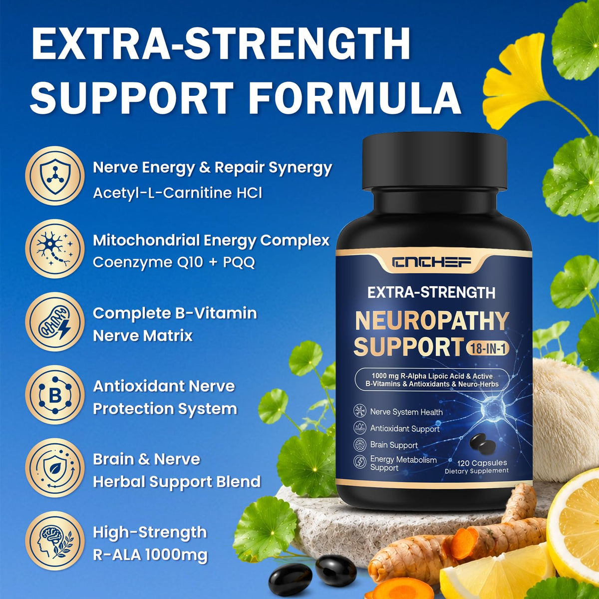 240 capsules for long-lasting support