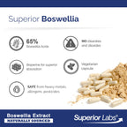 240 capsules of Boswellia extract