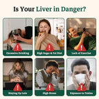 240 capsules of liver extract benefits