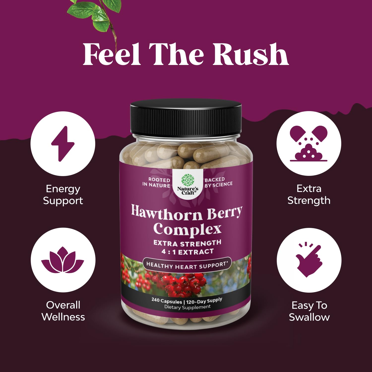240 count hawthorn berry capsules