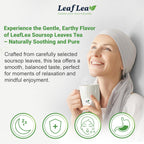 240 count soursop leaf tea