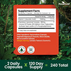 240 count vitamin C for daily use