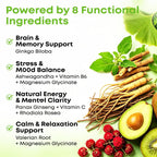 240 mg ginkgo biloba gummies for brain health