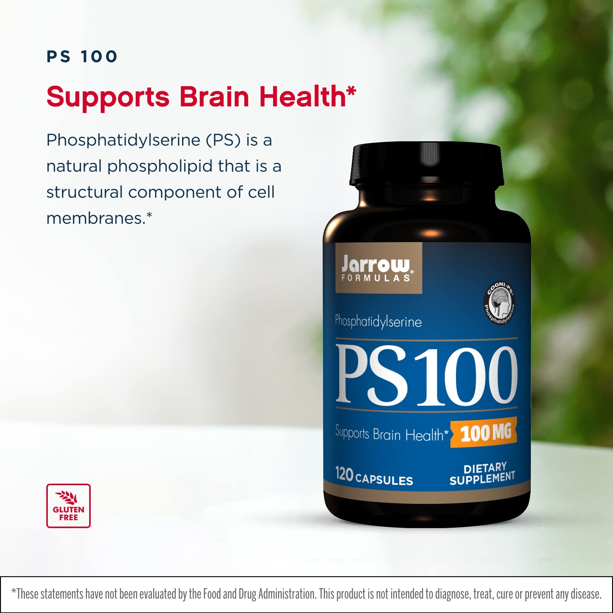 240 servings of brain-boosting supplements