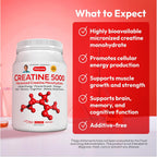 240 servings of creatine monohydrate for endurance