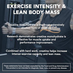240 servings of creatine supplement