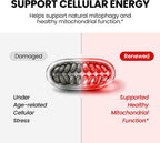 240 softgels for daily wellness